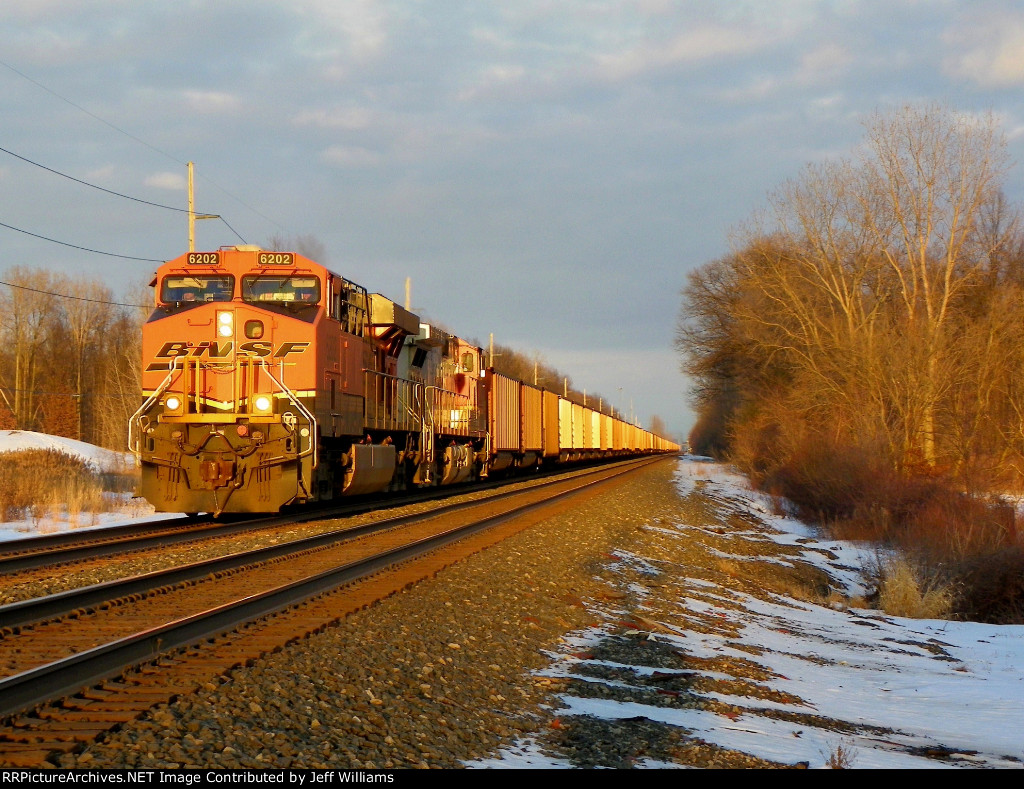 BNSF Empty Coal Train
